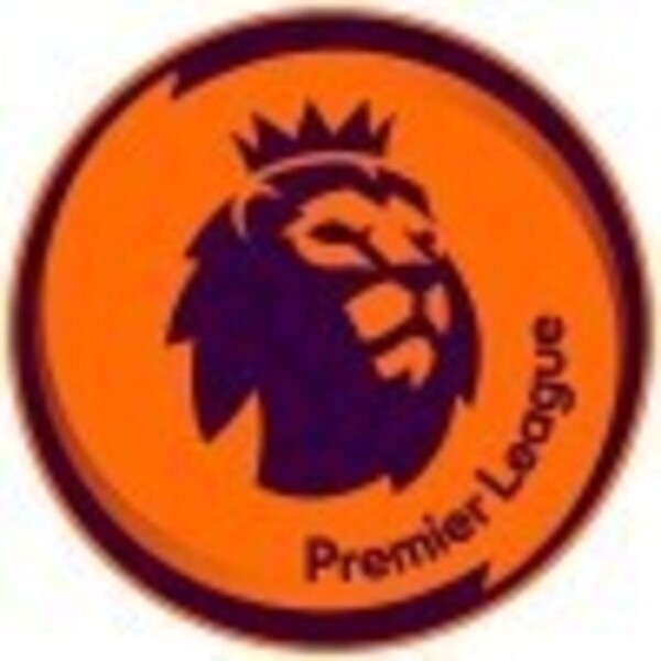 U.S. Marketing & Fan Activation Manager Job at The Premier League in ...
